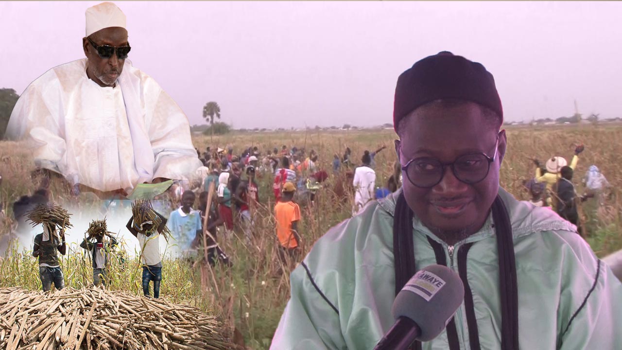 Récoltes 2021 à Porokha e Sérigne Modou Diouf et ses Talibés plus que ...